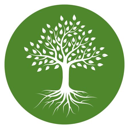 Shaking the Family Tree – DanBonBooks